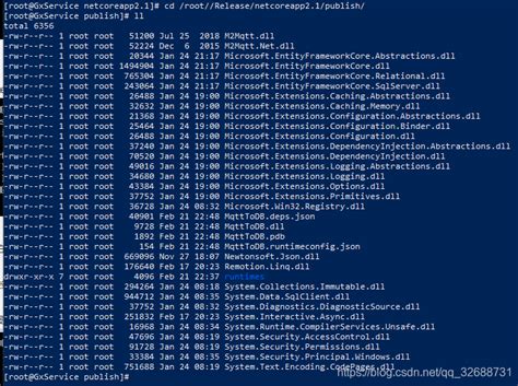 【centos7】部署 core 控制台app为后台服务 centos后台执行net控制台程序 csdn博客