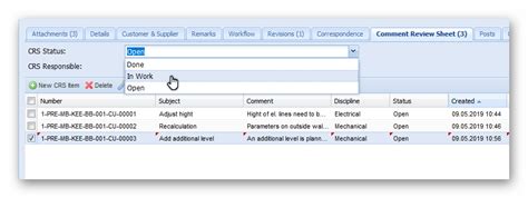 Comment Review Sheet Crs