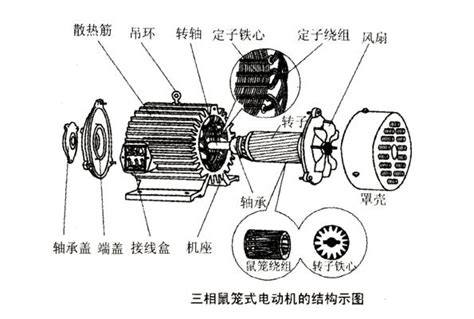 徹底解剖分解三相異步電動機的詳細結構 每日頭條