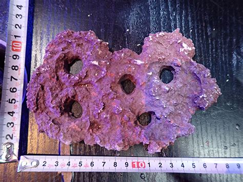 Frag専用プレート Js Frag Rock No24 アクアテイラーズ オンラインショップ