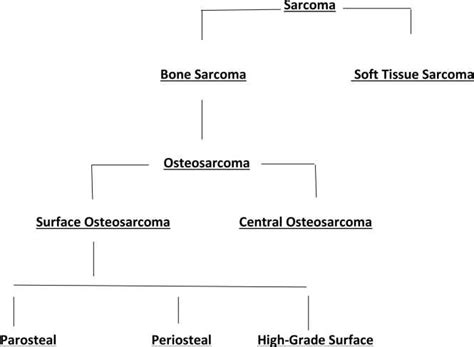 Parosteal Osteosarcoma Of The Skull Pathophysiological And Imaging