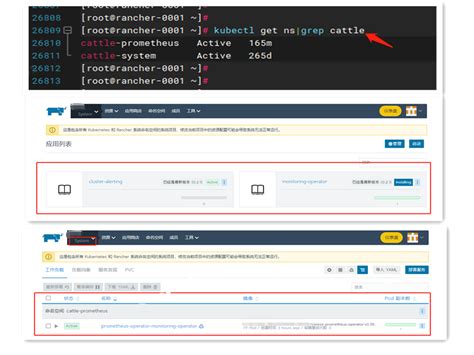 2 5 7开启集群监控后，怎么删除cattle prometheus这个namespace？ rancher 2 x rancher 中文论坛