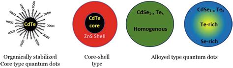 Magnetic And Quantum Dot Nanoparticles For Drug Delivery And Diagnostic Systems IntechOpen