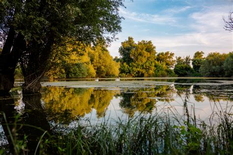 Free Picture Spectacular Lakeside Landscape Majestic Nature