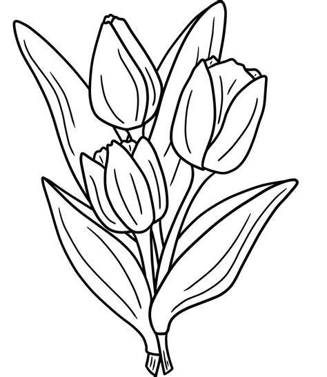 Lukisan Bunga Tulip Hitam Putih