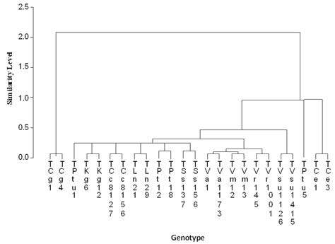 Two Dimensional Spatial Configurations Of The Twelve Species Of