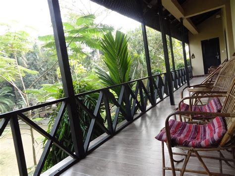 Hotel Parkside Updated 2022 Prices And Reviews Sauraha Nepal