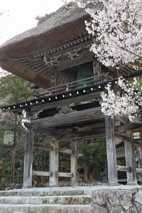 春の白川郷R5年4月11日 Vol 2 飛騨季節料理 肴店主の日記