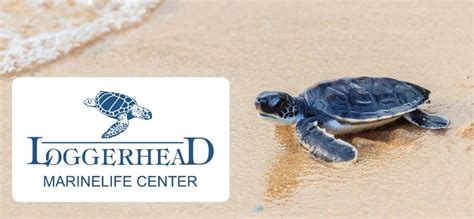 Loggerhead Marinelife Center Donation Clubocean