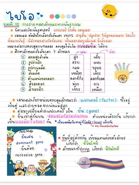 โน้ตของ การถ่ายทอดลักษณะทางพันธุกรรม ชั้น Clear