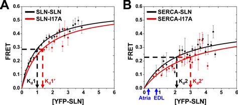 Binding Affinity Determined By Fret Microscopy A Plot Of Fret Download Scientific Diagram Binding Affinity Determined By Fret Microscopy A Plot Of Fret Download Scientific Diagram