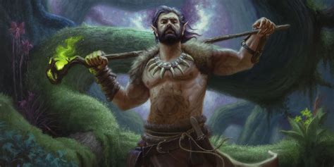 How To Build A Circle Of Wildfire Druid In Dnd