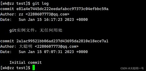Linux之《git的基本用法》判断git是否安装 Csdn博客