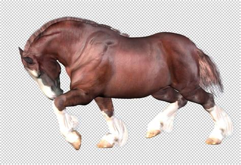 3d Horse Digital Art Gallery Poser And Daz Studio Content