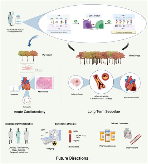 Immune Checkpoint Inhibitor Cardiotoxicity Do Not Miss The Forest For