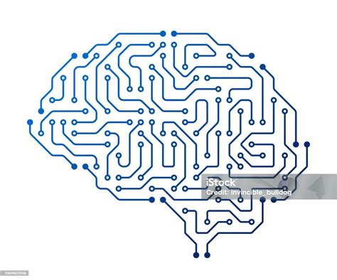 Sirkuit Otak Dengan Jaringan Rumit Neuron Yang Dihubungkan Oleh