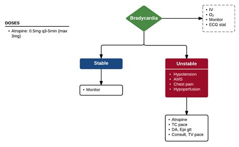 Acls Tags Differential Diagnosis Of Acls Algorithm Acls