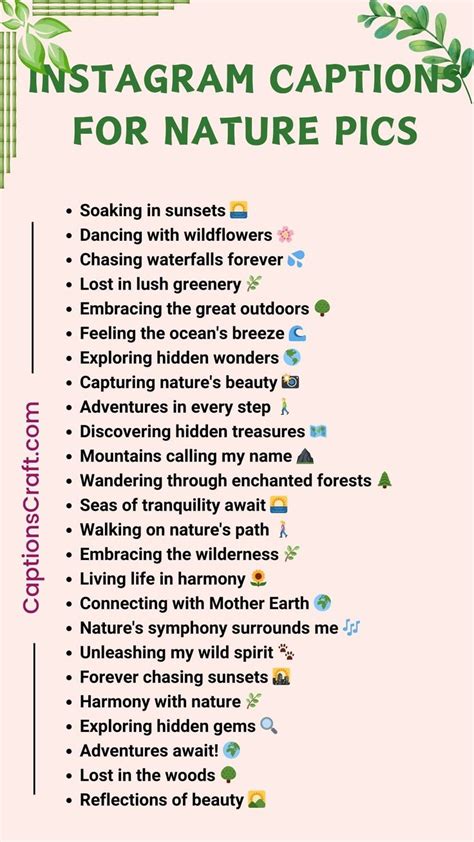 200 Instagram Captions For Nature Pics Use These 10 Breathtaking