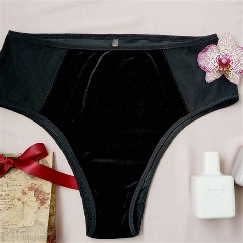 Sheer Retro Panties Etsy