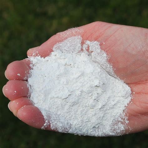 Calcium Carbonate Ground Limestone Shop Worms