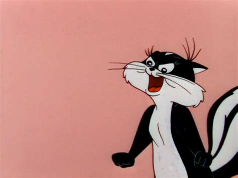 Penelope Pussycat Looney Tunes 70 By Kuromiandchespin400 On Deviantart