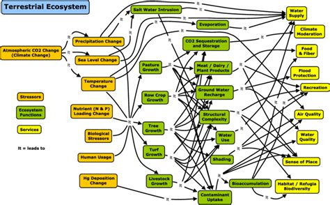 Ecosystem Concept Map Example 3 Mind Map Edrawmind
