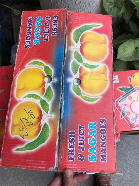 Alphonso Mango Hapus Aam At ₹ 1100 Box अल्फांसो आम In Nagpur Id 20718832797