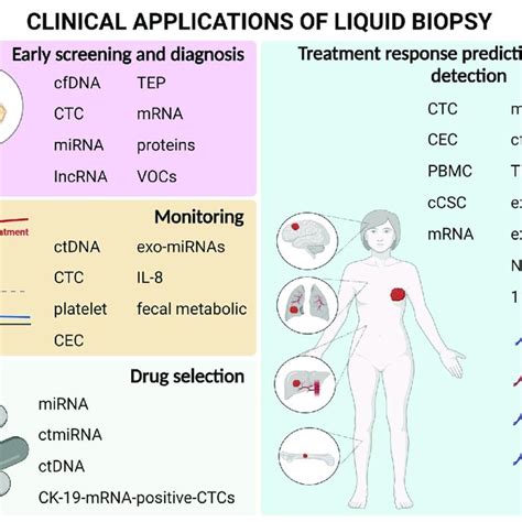 Main Clinical Uses Of Liquid Biopsy With The Biomarkers Highlighted In