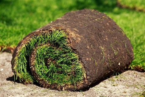 Premium Photo Green Lawn Grass In Rolls