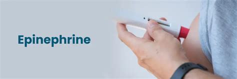 Understanding Epinephrine