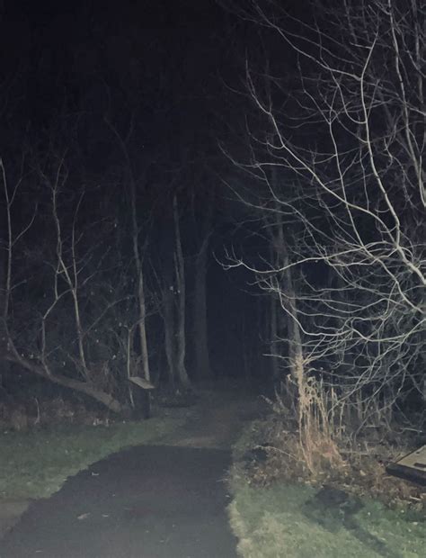 Spooky Forest Artofit