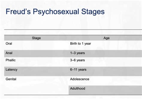 Ch 9 Theories Of Social Development Flashcards Quizlet