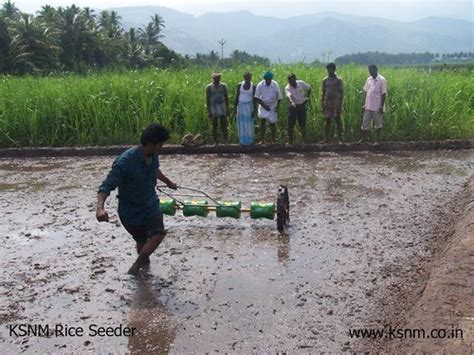 Ksnm 8 Line Manual Direct Paddy Seeder For Agriculture At ₹ 5700piece