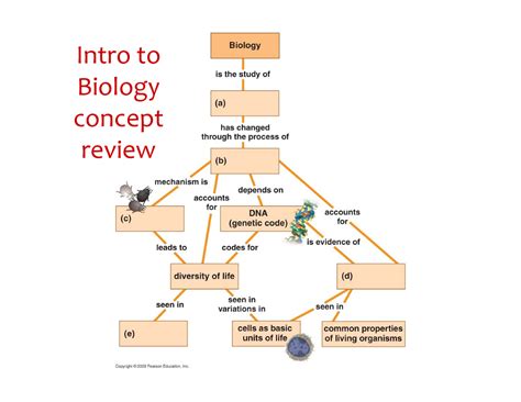 Lecture Notes Lectures Modules 2 7 Intro To Biology Concept Review Introduction To Evolution