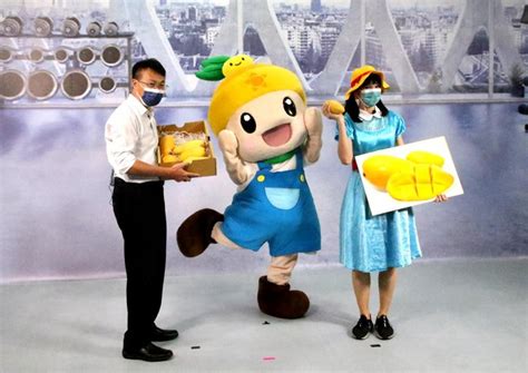 宅運動屢出奇招 運發局揪通通來運動兼行銷六龜金煌／波新聞