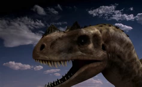 Jfc Ceratosaurus 9 By Dracotyrannus On Deviantart