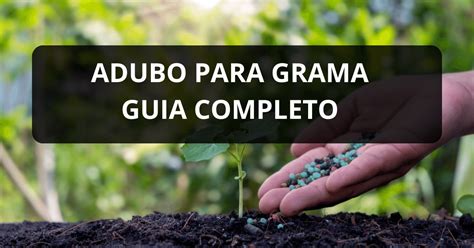 Adubo para Grama Guia Completo de Uso e Manutenção