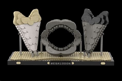 Megalodon Tooth Display R Lego