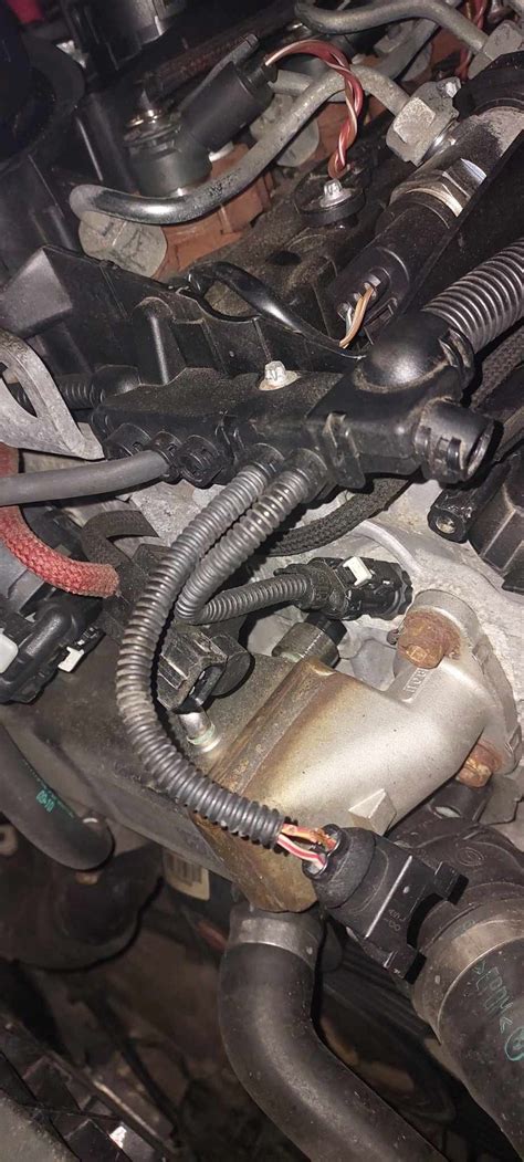 e87 Przerwany kabel przez kunę E81 E82 E87 E88 BMW Klub Polska