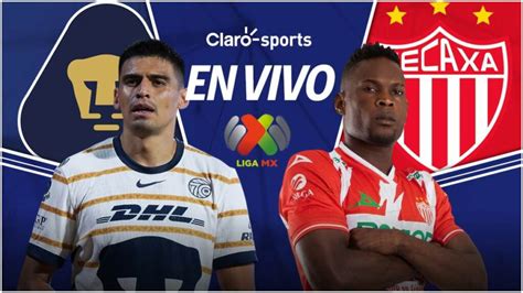 Pumas Vs Necaxa En Vivo La Jornada 1 De La Liga Mx 2025 Resultado Y
