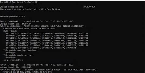 steps for patching in standalone database oracle 19c in windows platform smarttechways