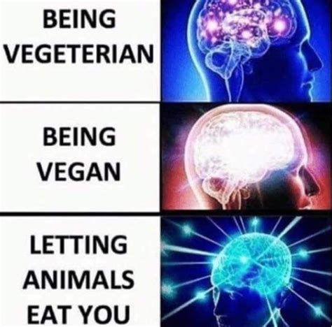 Brain Power Meme Brain Mind Article