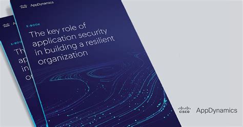 Orobosa Irabor Mba Cissp Pmp Psm1 Security Plus Itil Cobit Lssgb On Linkedin Key Role Of Appsec