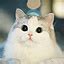 Javascript Server Sent Events Segmentfault
