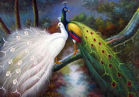 Dead Peacock Meaning Spiritual Symbolism And Transformation Guide