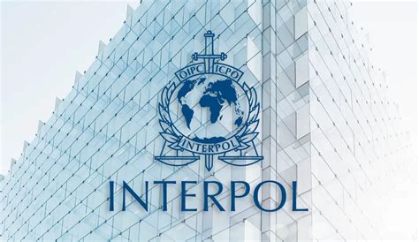 Interpol Rumons English Care