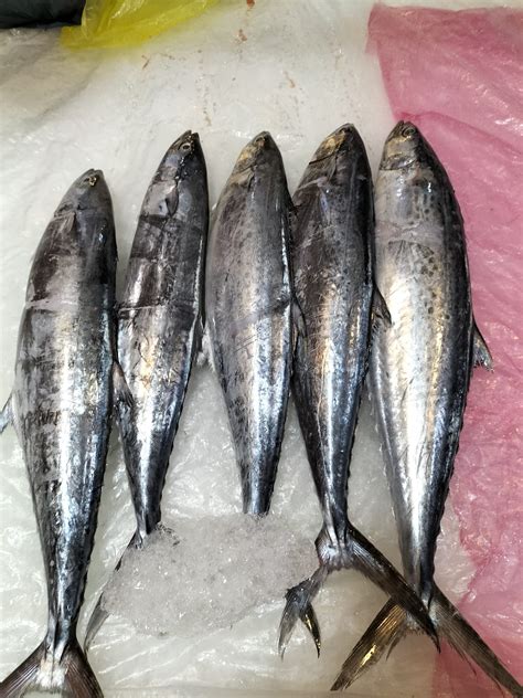 Beh Ka Fish 马鲛鱼 ~1 Kg Ding Xin Seafood