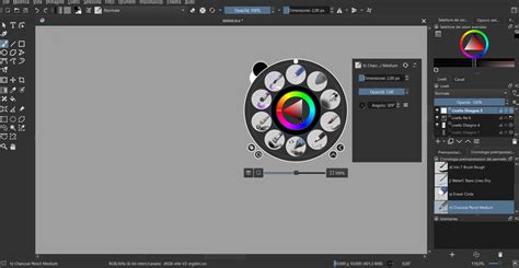How Do I Disable This Circle Thing With The Colours Circle And The Tool It S Annoying Because