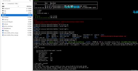 Tdn复现（ucf101 只用了十个类别）c3d与tdn Csdn博客