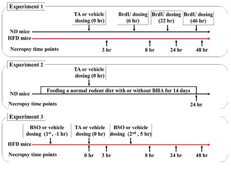 Schematic Diagram Of Experiments 1 To 3 Each Diagram Outlines The